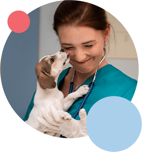 Operative Care - Olympic Veterinary Cardiology