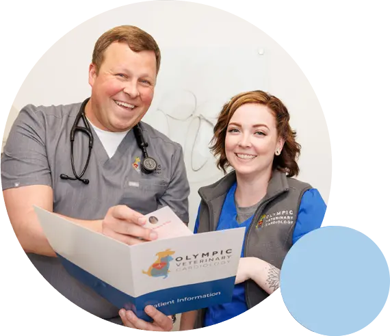 Olympic Veterinary Cardiology in Everett Washington